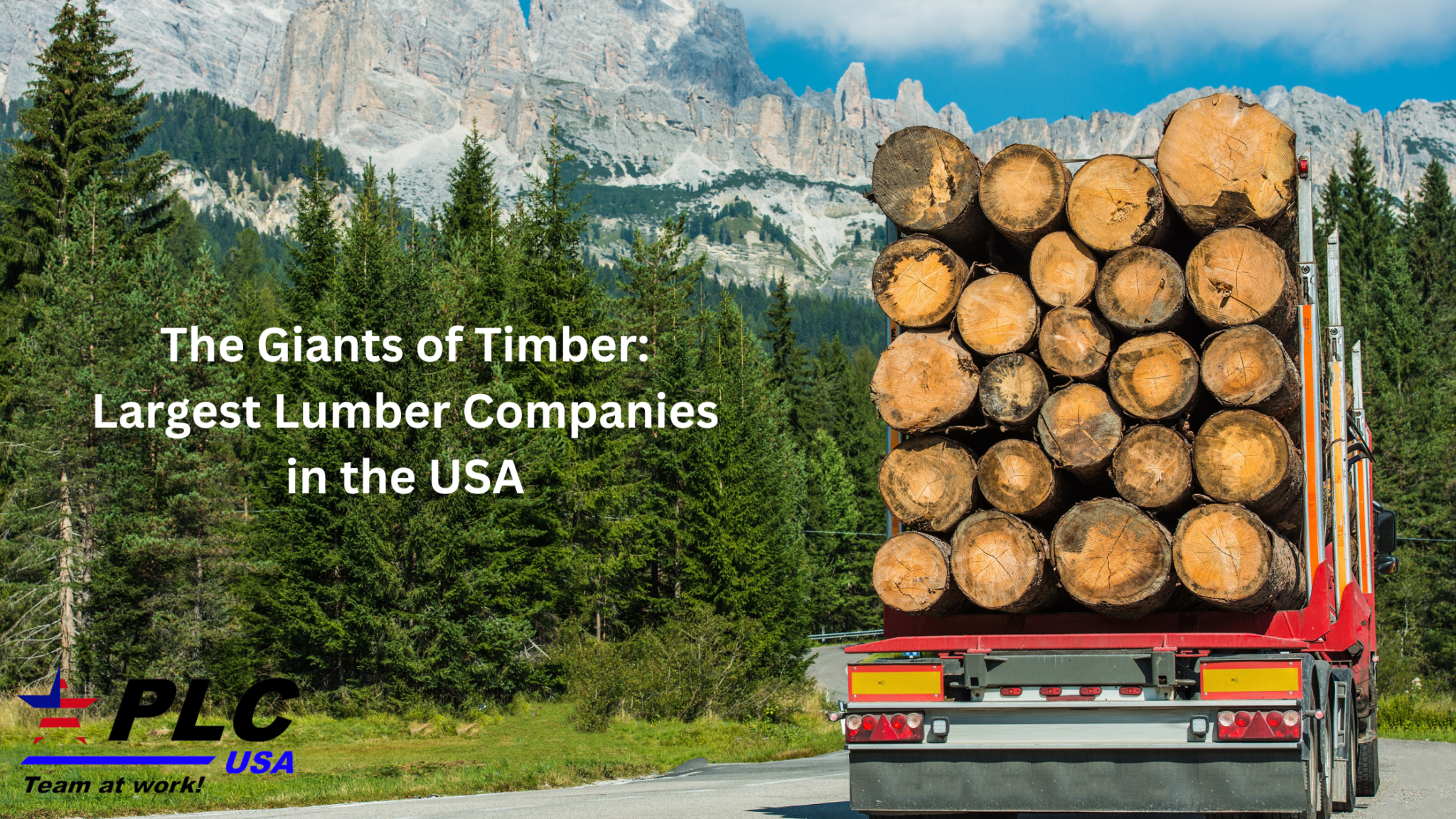 Largest Lumber Companies in the USA - PLCUSA